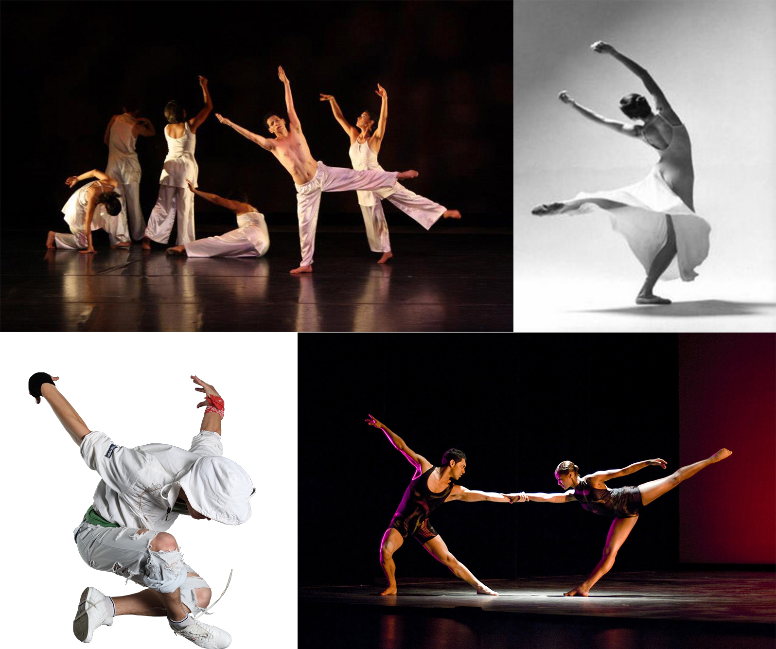 Danza :: Arttour